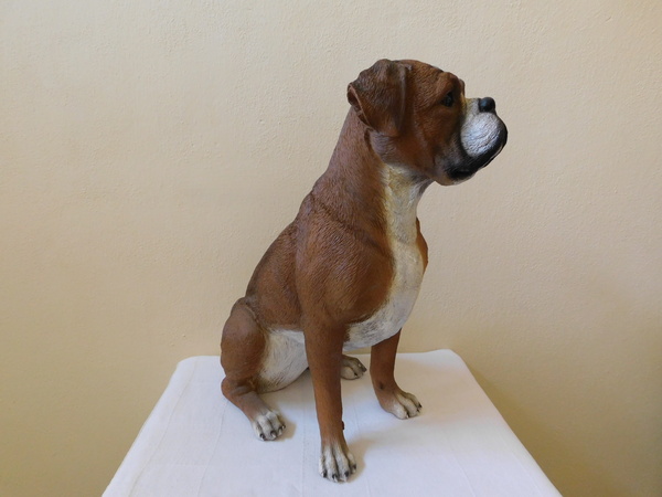 NĚMECKÝ BOXER - SOŠKA