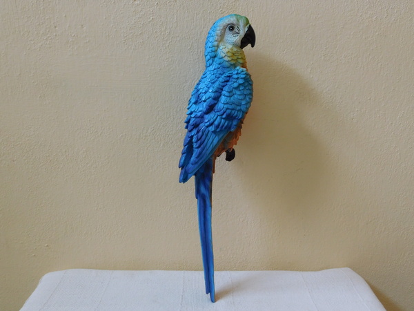 PAPOUŠEK ARA - SOŠKA