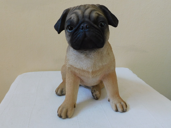 MOPS - SOŠKA - MOPSÍK