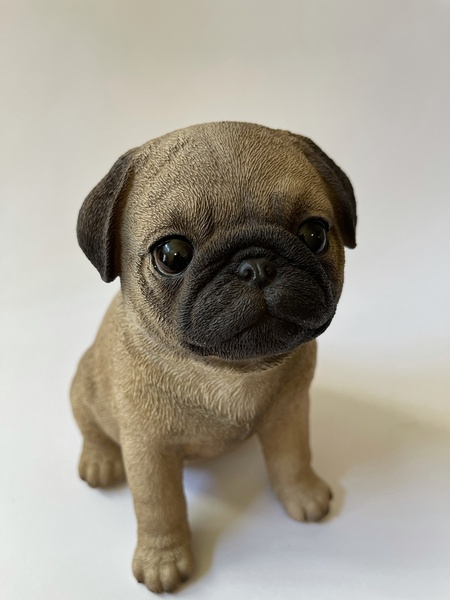 MOPS MOPSÍK - ŠTĚNĚ SOŠKA